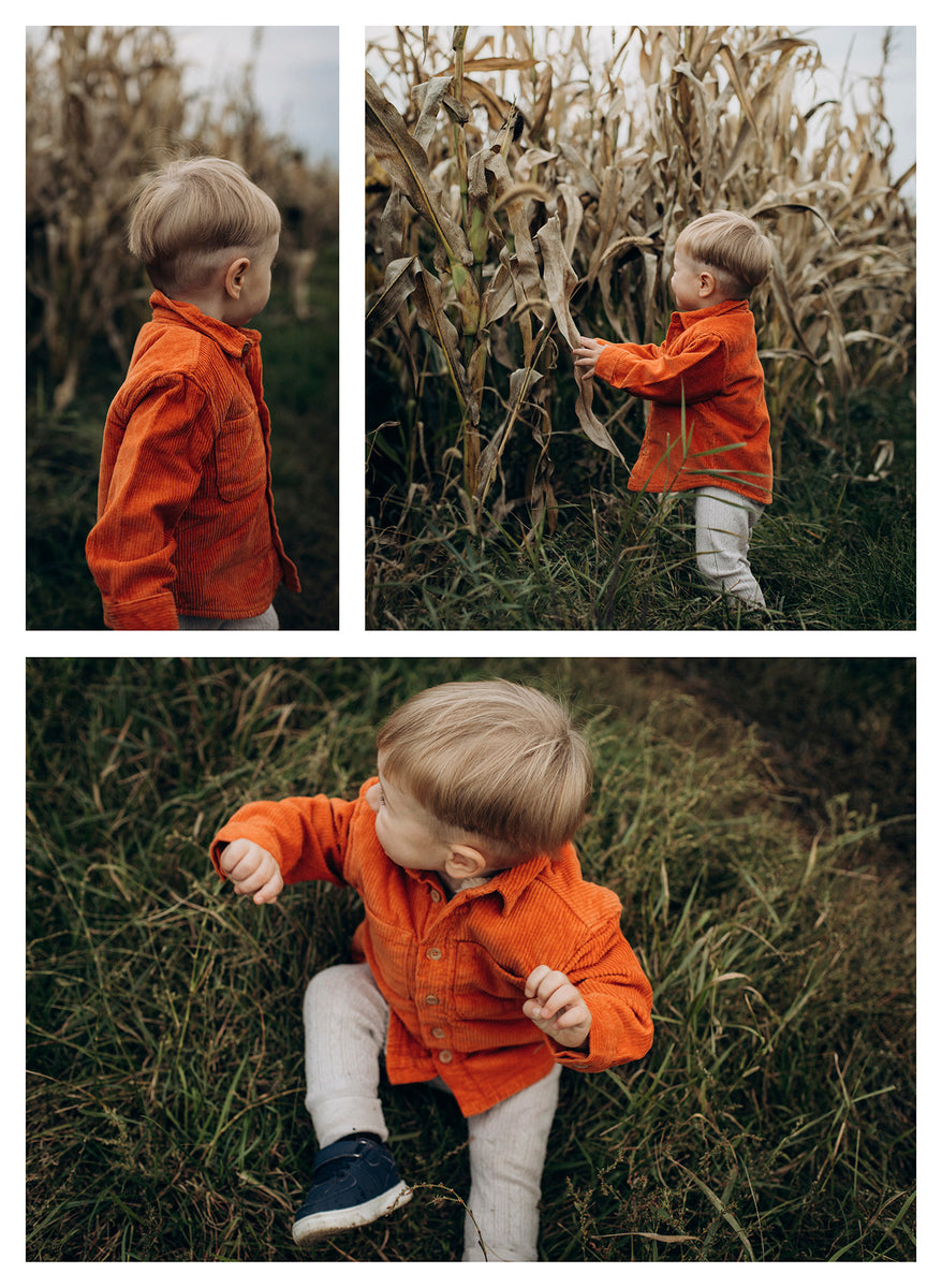 COLLAGE FRAG 10 – Prolienzo